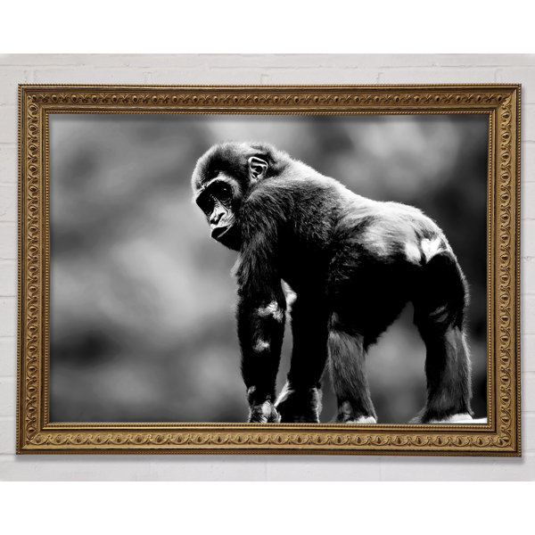 Brayden Studio Cheeky Monkey - Single Picture Frame Print | Wayfair.co.uk